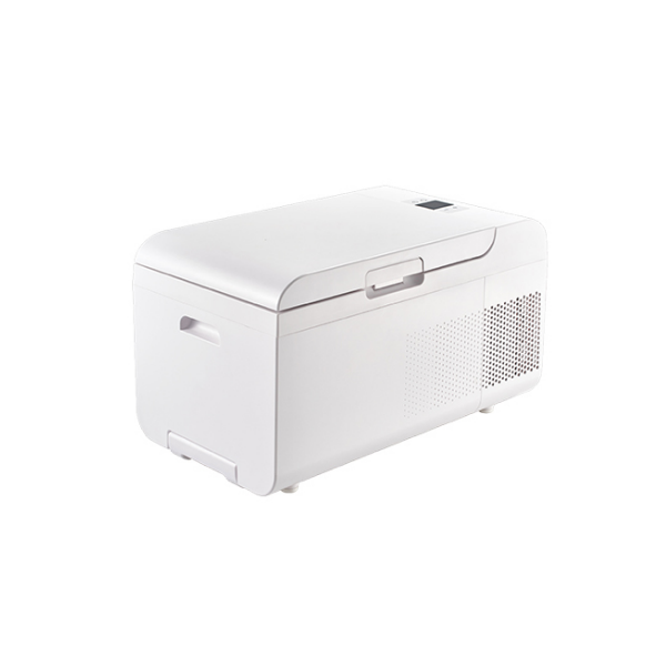 Frigorífico Auto Com Compressor 20L 12/24V